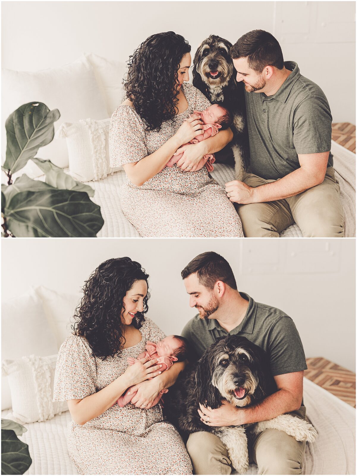 Studio Natural Light Newborn Photographer in Kankakee | The Box Family ...